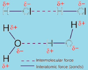 Intermolecular Interactions - W3schools