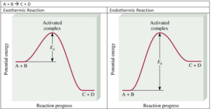 Activation energy in chemical kinetics - W3schools