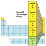Introduction of Group 17 elements - W3schools