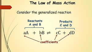 Law of mass action - W3schools