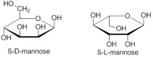 D-L Configuration of Carbohydrates - W3schools