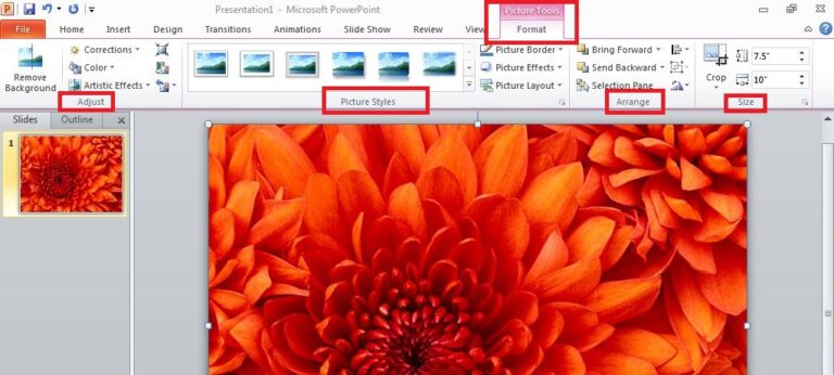 How to Edit Picture and Clip Art - W3schools