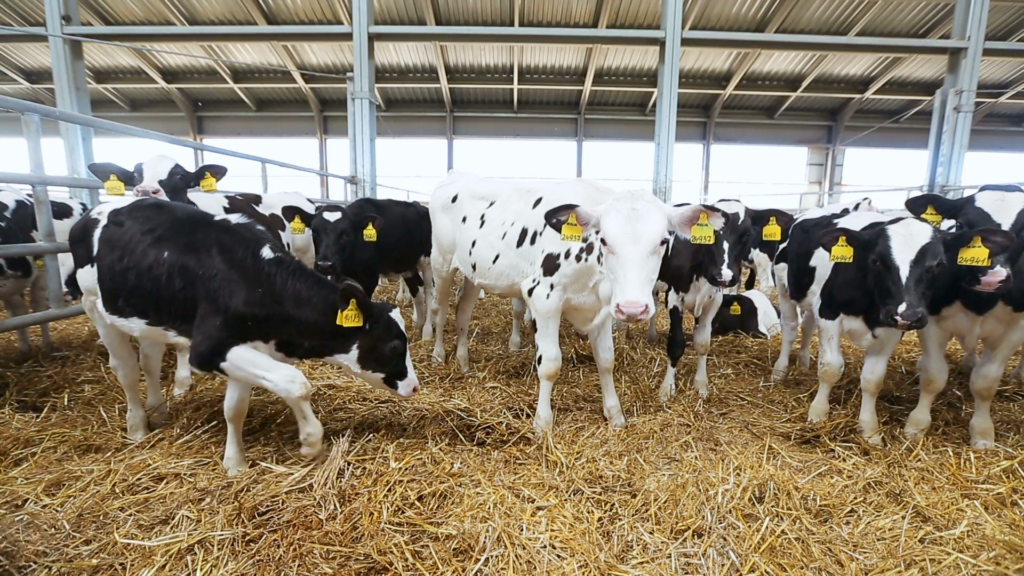 Animal Husbandry W3schools animal-husbandry-w3schools