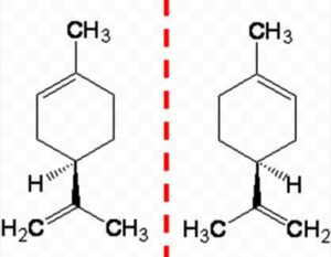 Isomerism of alkanes - W3schools