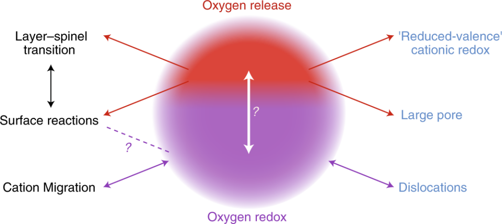 Oxygen Release - W3schools