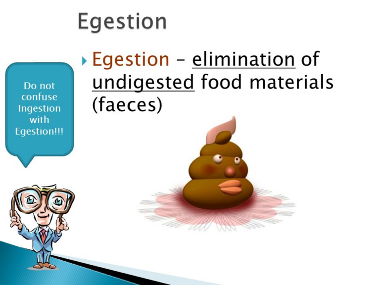 Egestion - W3schools