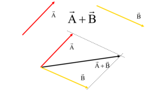 Types of vectors and algebraic operations - W3schools