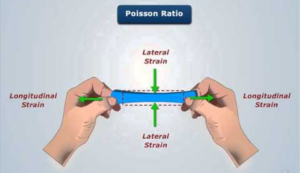 Poisson's Ratio - W3schools