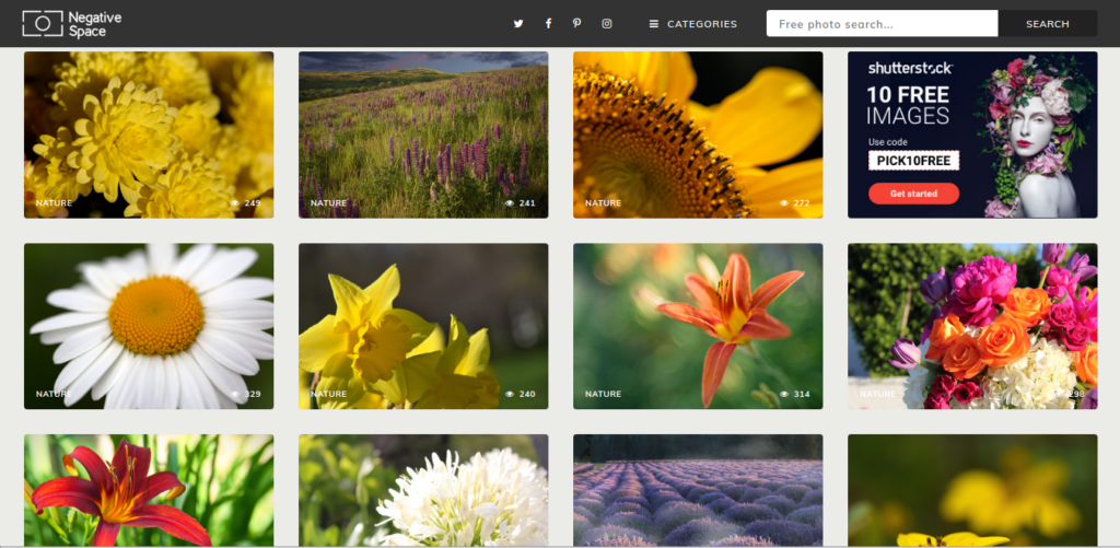 How to Find Free Images for Your WordPress Blog Posts? - W3schools