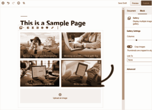 How to Add Caption to Images in WordPress? - W3schools