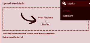 How to Add Caption to Images in WordPress? - W3schools