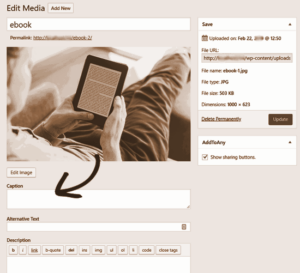 How to Add Caption to Images in WordPress? - W3schools