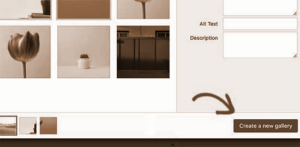How to Add Caption to Images in WordPress? - W3schools