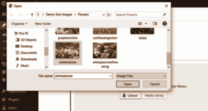 How to Create an Image Gallery in WordPress? - W3schools