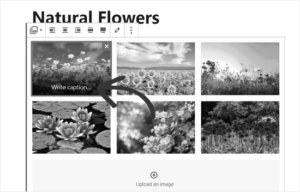 How to Create an Image Gallery in WordPress? - W3schools