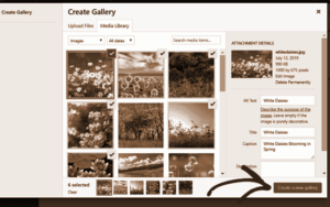 How to Create an Image Gallery in WordPress? - W3schools