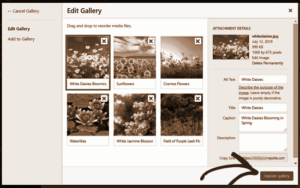 How to Create an Image Gallery in WordPress? - W3schools
