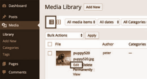 How to Add Categories and Tags to WordPress Media Library? - W3schools